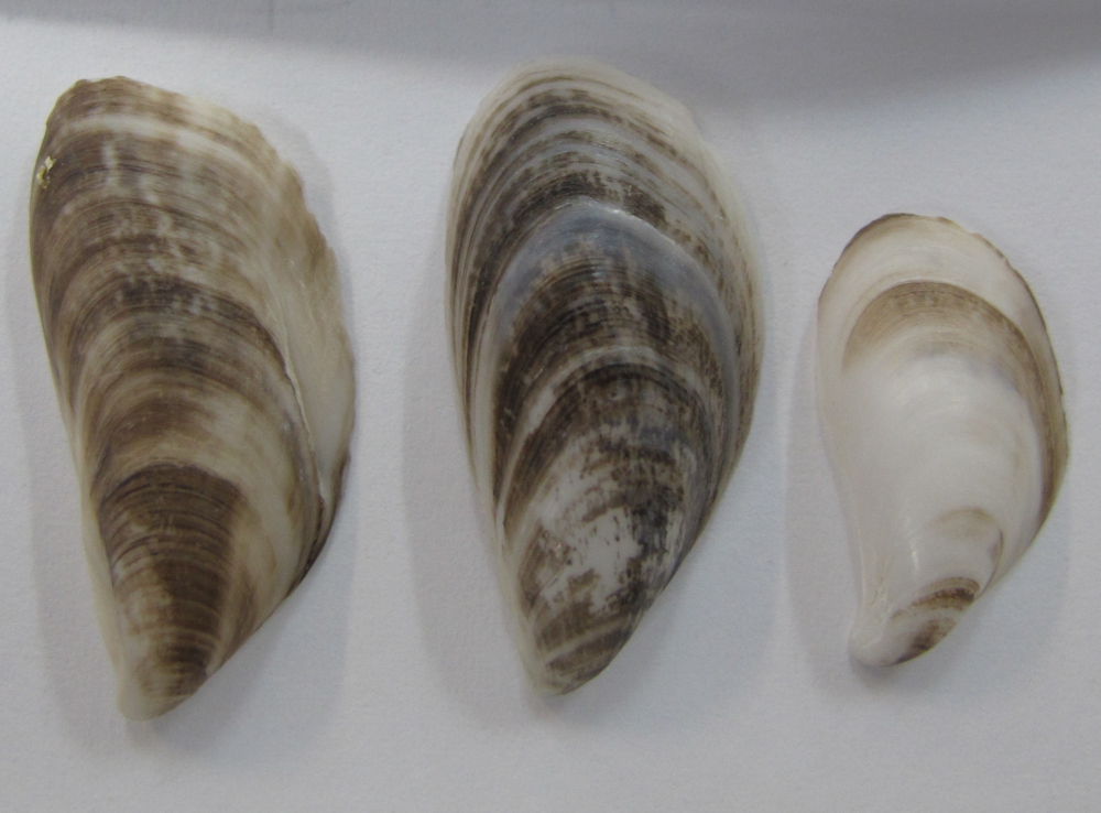 Site map | Business Queensland