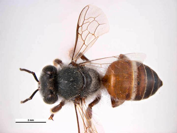 Site map | Business Queensland