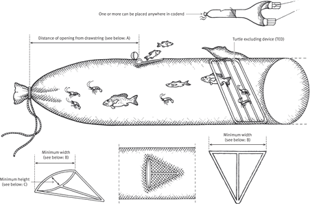 Beam Trawling Bycatch - The Best Picture Of Beam